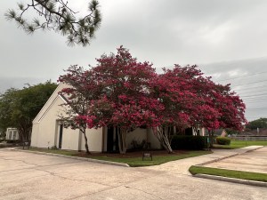 Periodontics Office | 12071 Bricksome Avenue Baton Rouge LA 70816